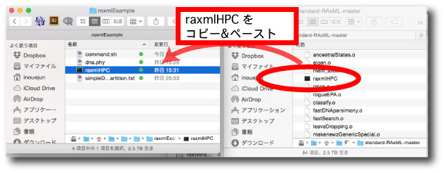 RAxML・簡単な例題 - 井上潤