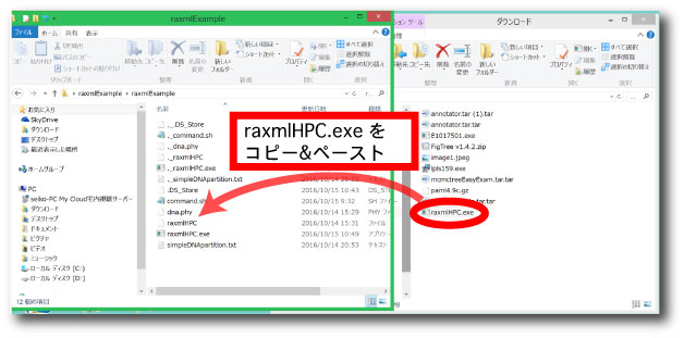 RAxML・簡単な例題 - 井上潤