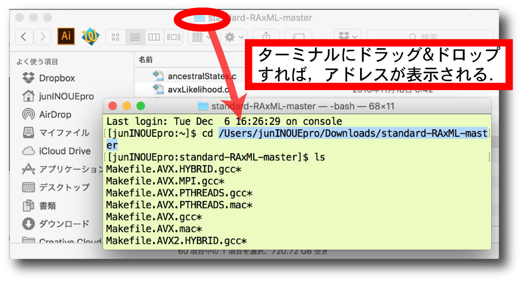 RAxML・簡単な例題 - 井上潤