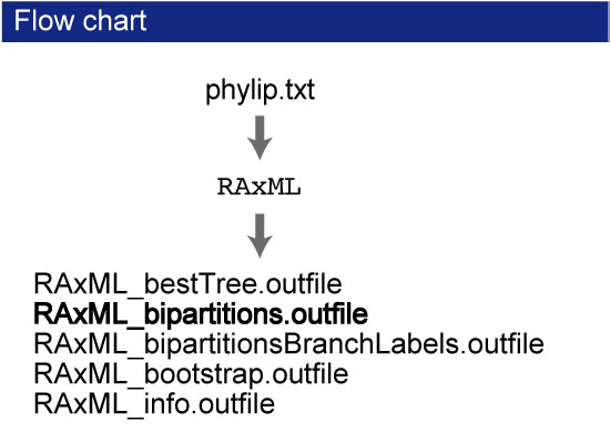 RAxML・簡単な例題 - 井上潤