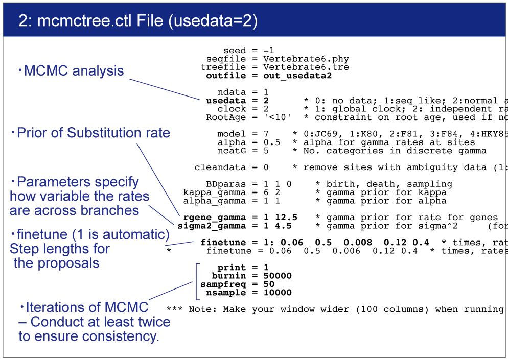 MCMCTREE-Easy Example