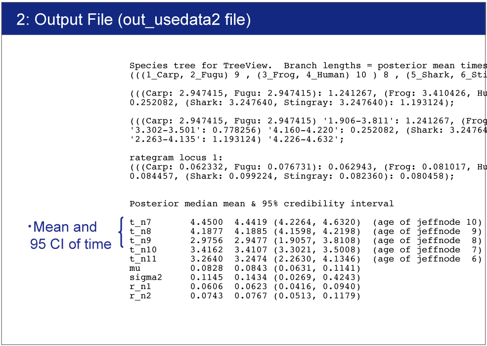MCMCTREE-Easy Example